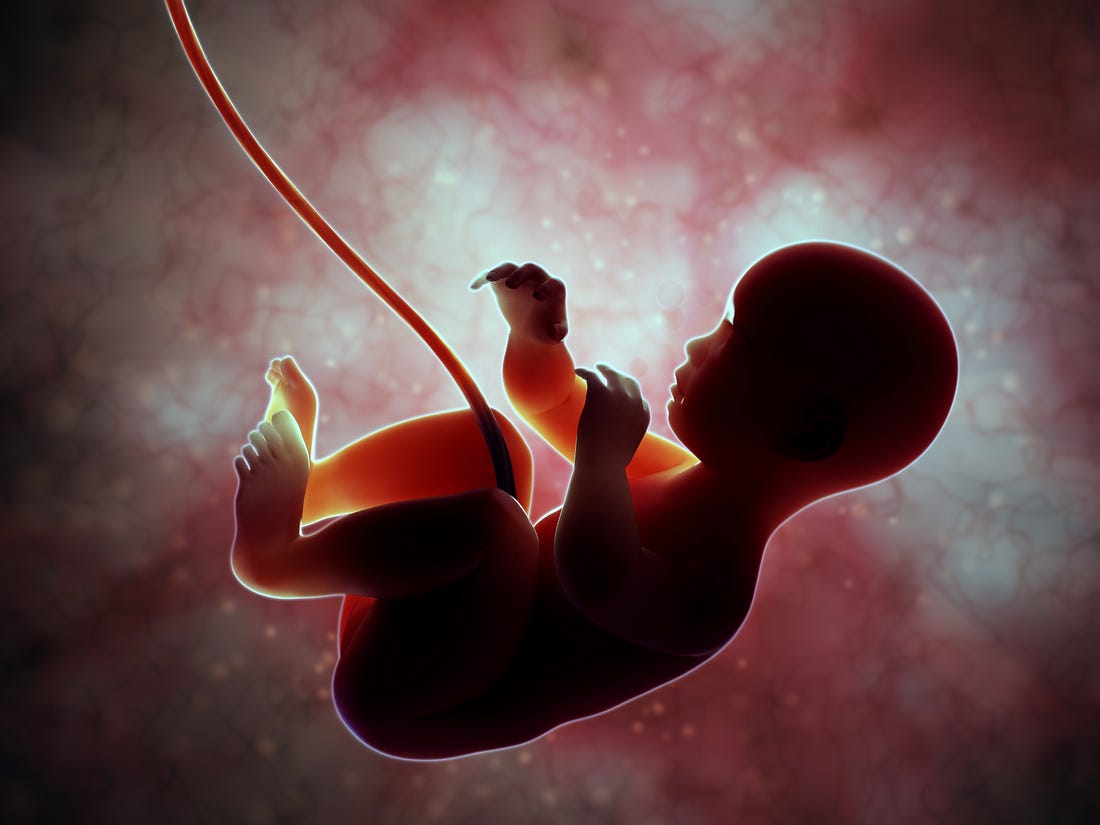 Unborn Baby Poem (The Celebration of Pregnancy)