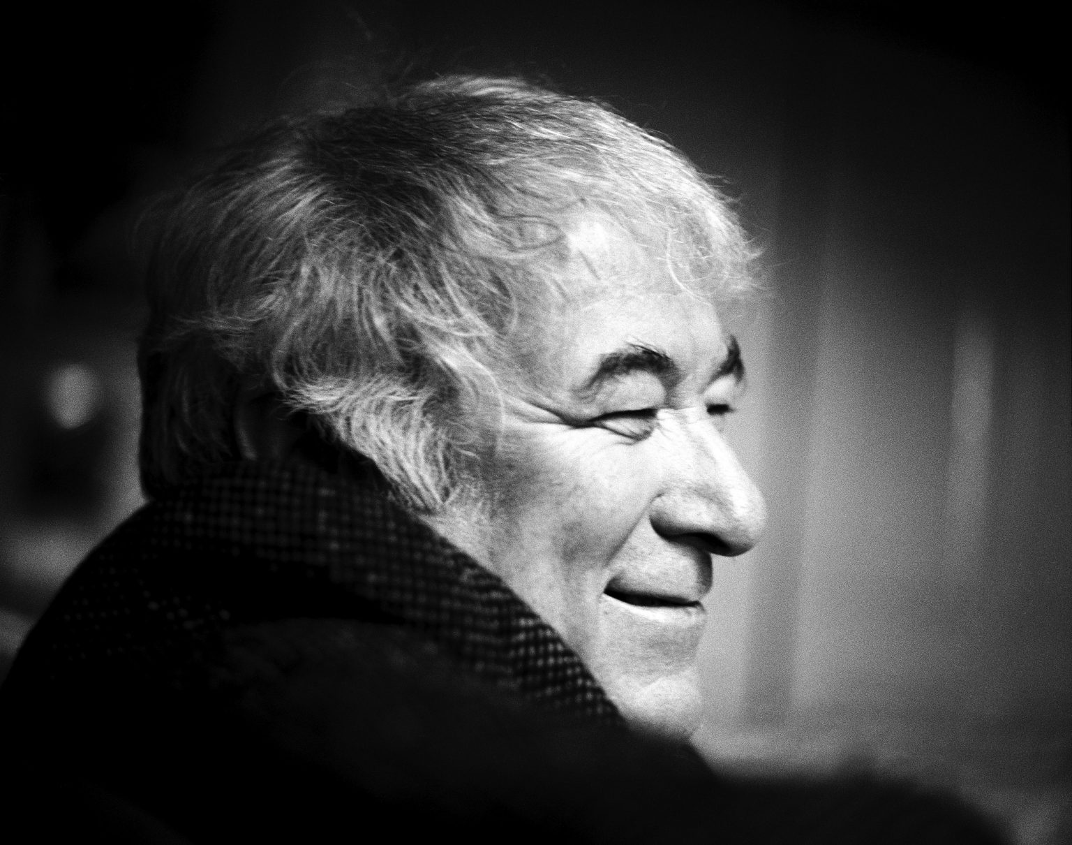 Seamus Heaney (A Compilation of His Amazing Poems)