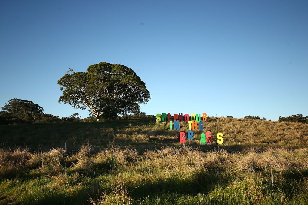 Splendor in the Grass Poem (by William Wordsworth)