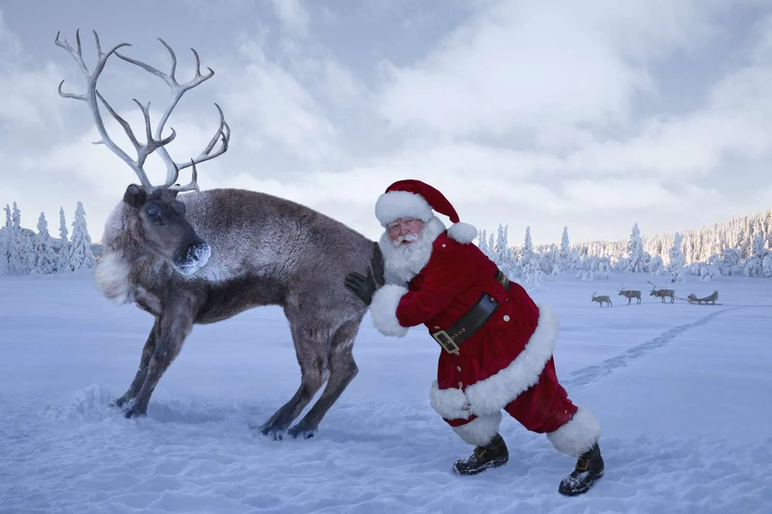 Creative Funny Christmas Poems - 15 Humorous Poems for the Season