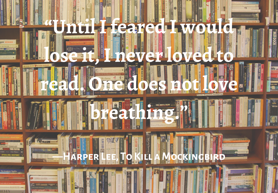 36 of the Best Book Lover Quotes for Readers