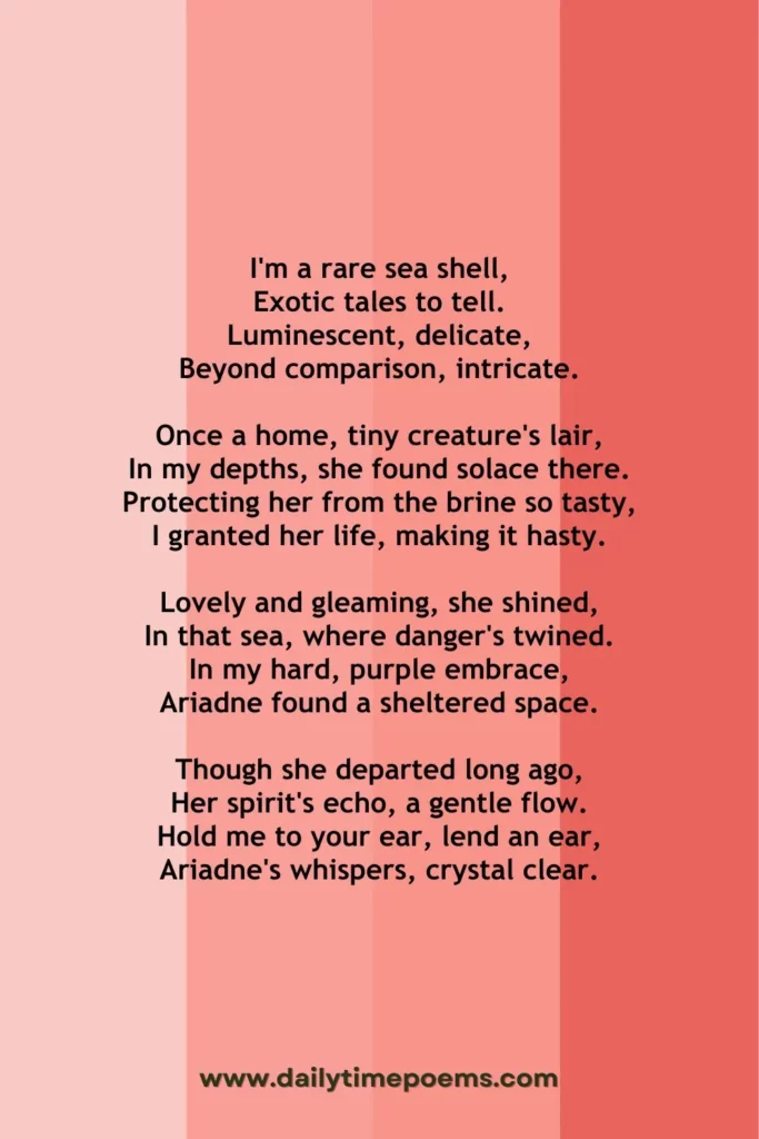 Nonsense Poems - 9 Poems That Sound Confusing But Make Sense