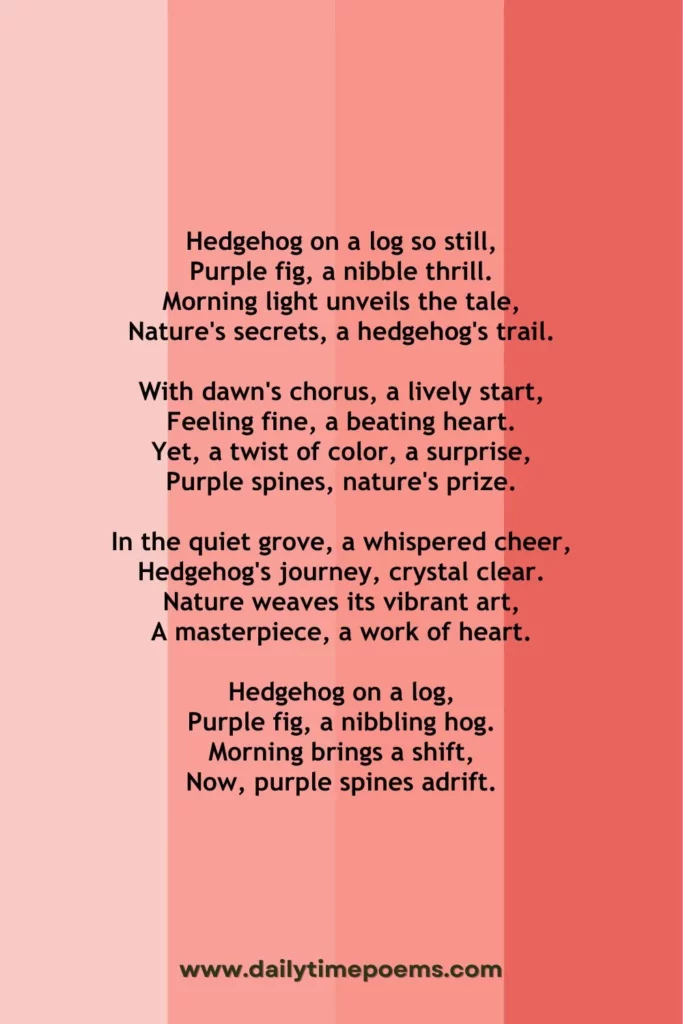 Nonsense Poems - 9 Poems That Sound Confusing But Make Sense